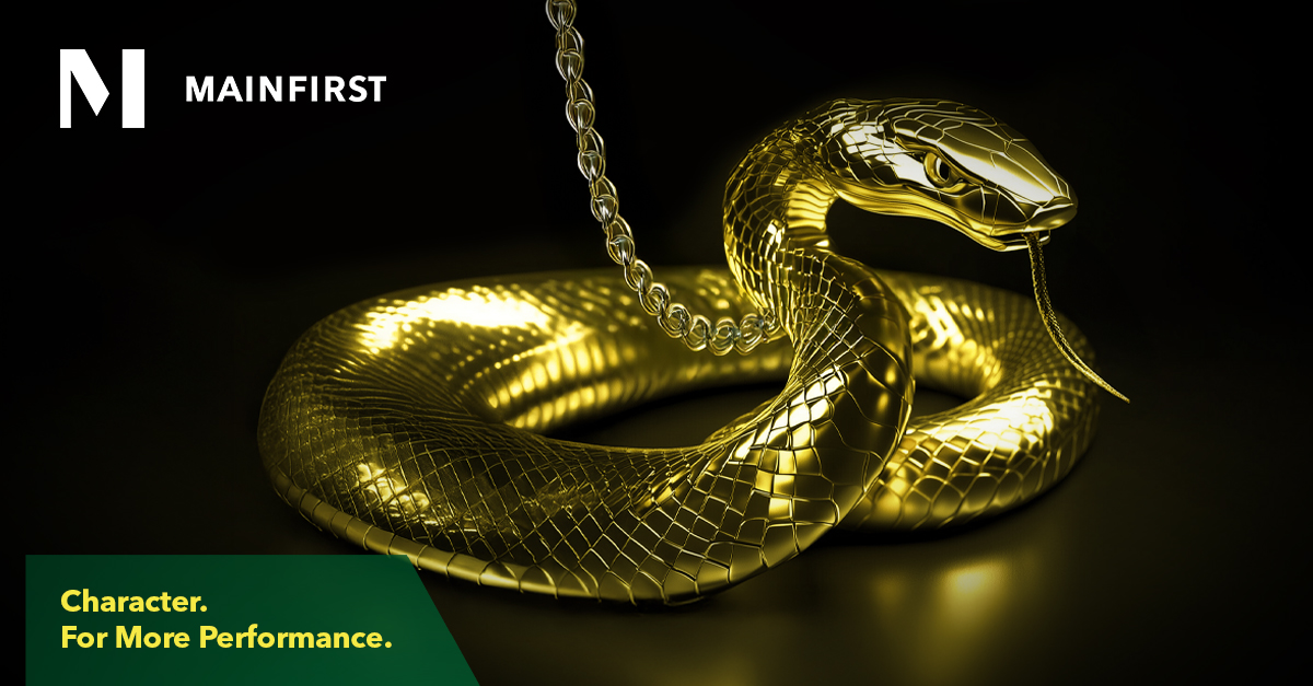 The Year of the Snake: China's economy between mistrust and rise